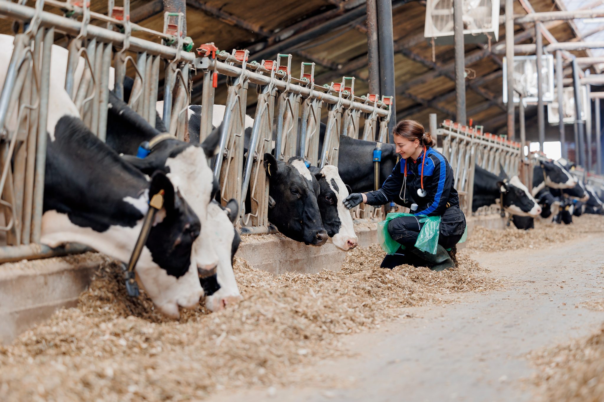 Industries - Sovereign Bank